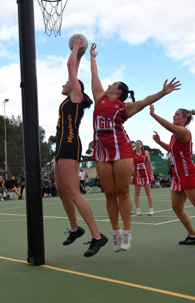 Netball’s night of action | The Murray Valley Standard