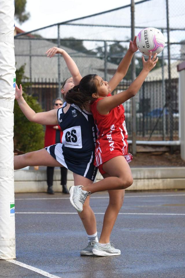 Around the netball courts | The Murray Valley Standard