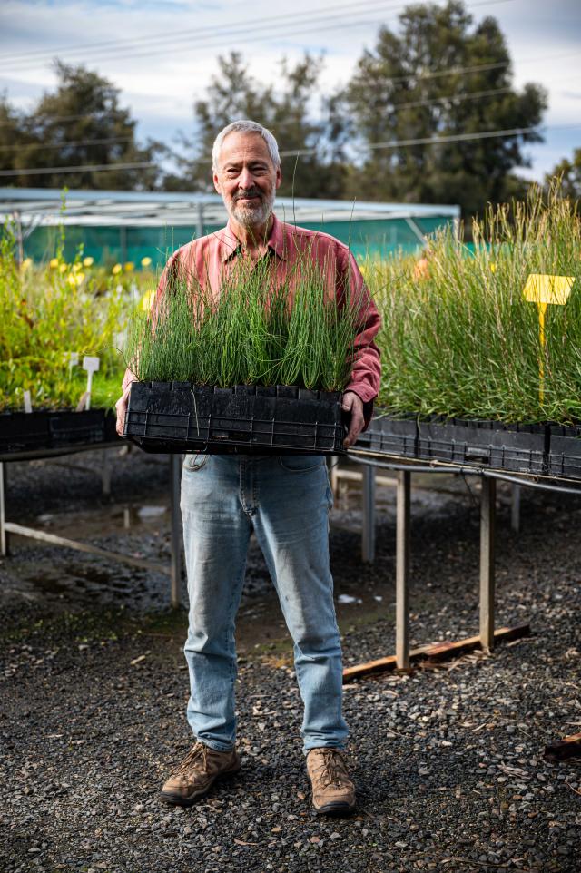 Trees supporting dreams | The Murray Valley Standard