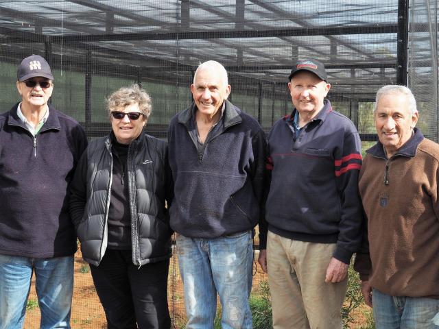Mallee emu-wren success | The Murray Valley Standard