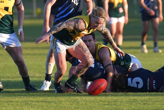 Blues, Roos set for action | The Murray Valley Standard