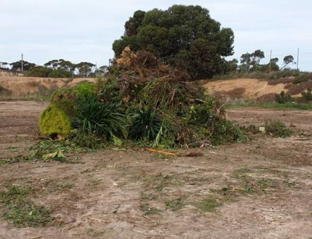 Free green waste disposal | The Murray Valley Standard