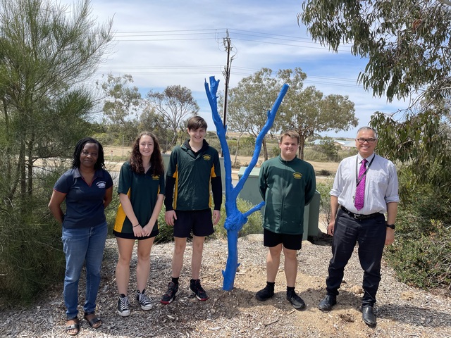 Blue trees, mental health | The Murray Valley Standard