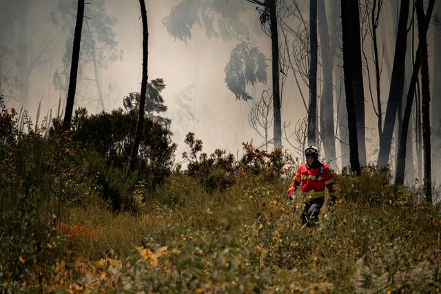 Tips to keep bushfire safe | The Murray Valley Standard