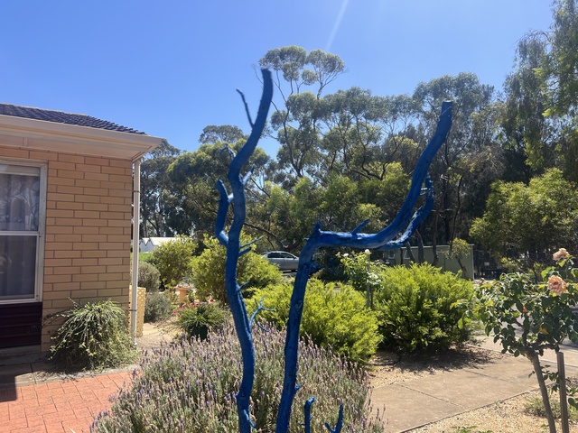 Blue tree branches support | The Murray Valley Standard