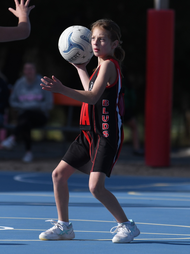 Netball season wrapped up | The Murray Valley Standard