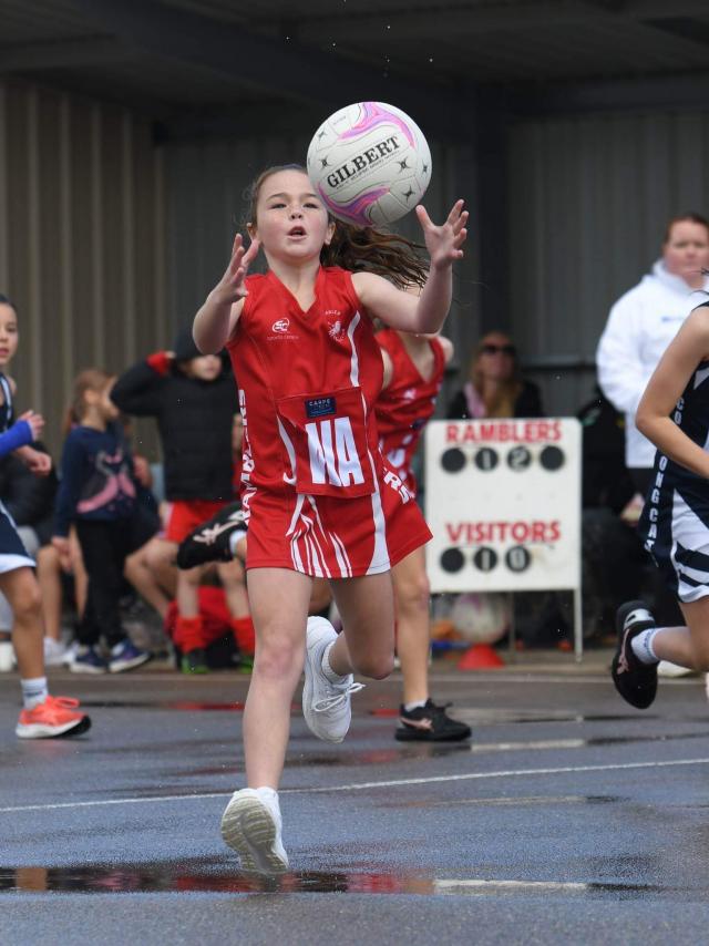 Around the netball courts | The Murray Valley Standard
