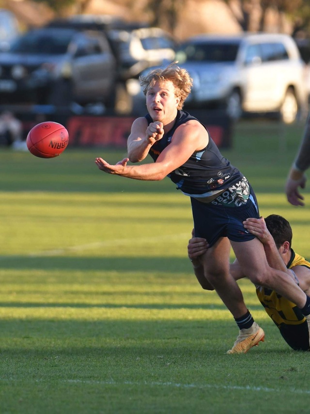 Blues, Roos set for action | The Murray Valley Standard