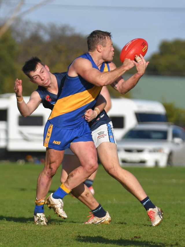 Claws galore in Mypolonga | The Murray Valley Standard