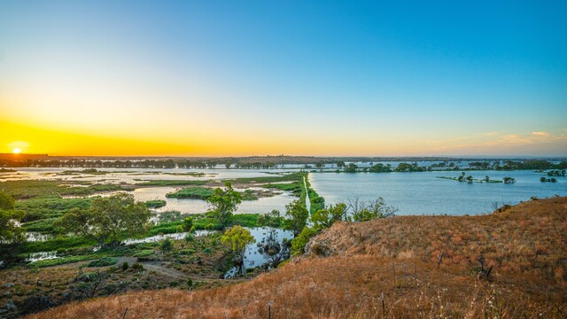 Taking snaps out, about | The Murray Valley Standard