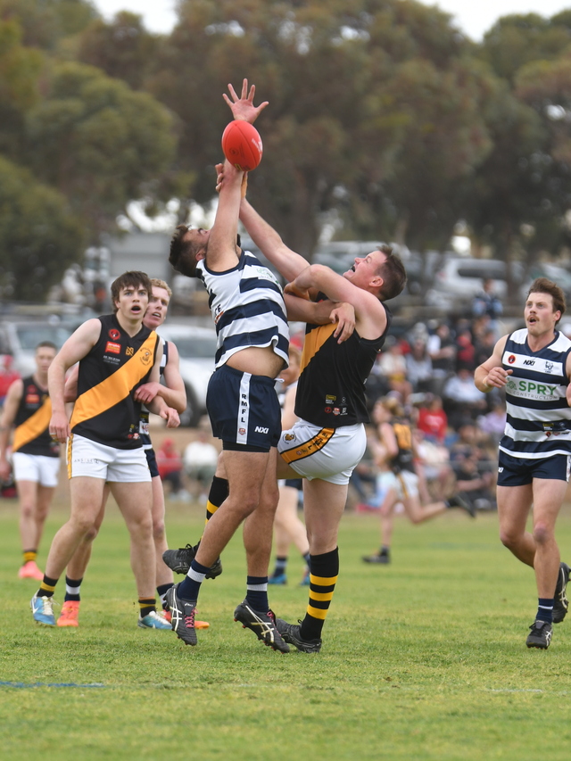 Action at the footy finals | The Murray Valley Standard