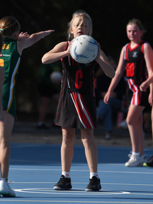 Netball season wrapped up | The Murray Valley Standard