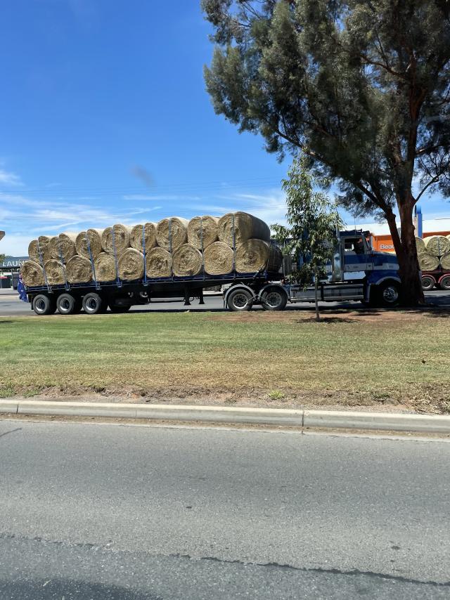 Loads of Aussie spirit | The Murray Valley Standard