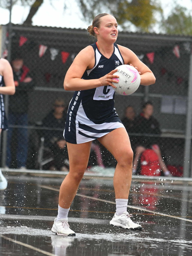 Cats claw past Jervois | The Murray Valley Standard